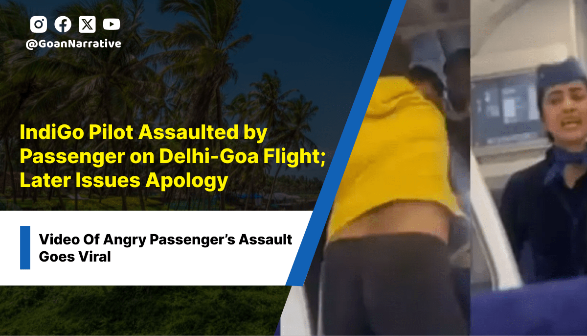 IndiGo Pilot Assaulted by Passenger on Delhi-Goa Flight; Passenger ...
